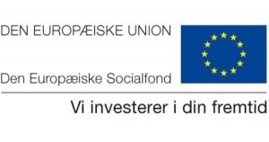 Inklusion af mænd og drenge gennem uddannelse i Region Sjælland (IMODUS ...